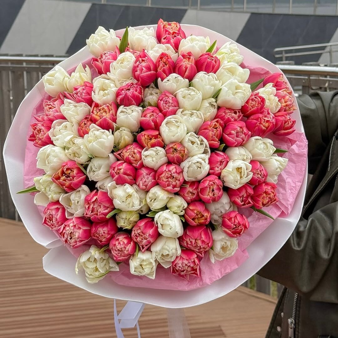 Букет из розовых и белых тюльпанов 101 шт, красивый букет цветов, шикарный, премиум цветы, премиум букет