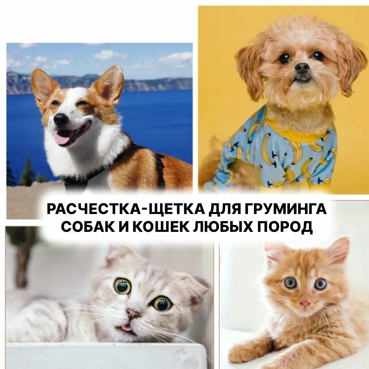 Щетка для животных — фото 1