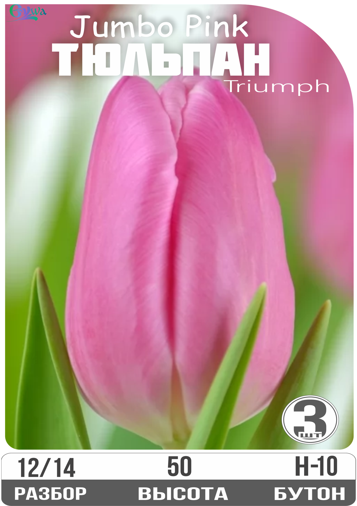 Луковицы тюльпана "Джамбо Пинк", крупный разбор 12/14, высота до 50см, цвет розовый , 3 шт. Eywa