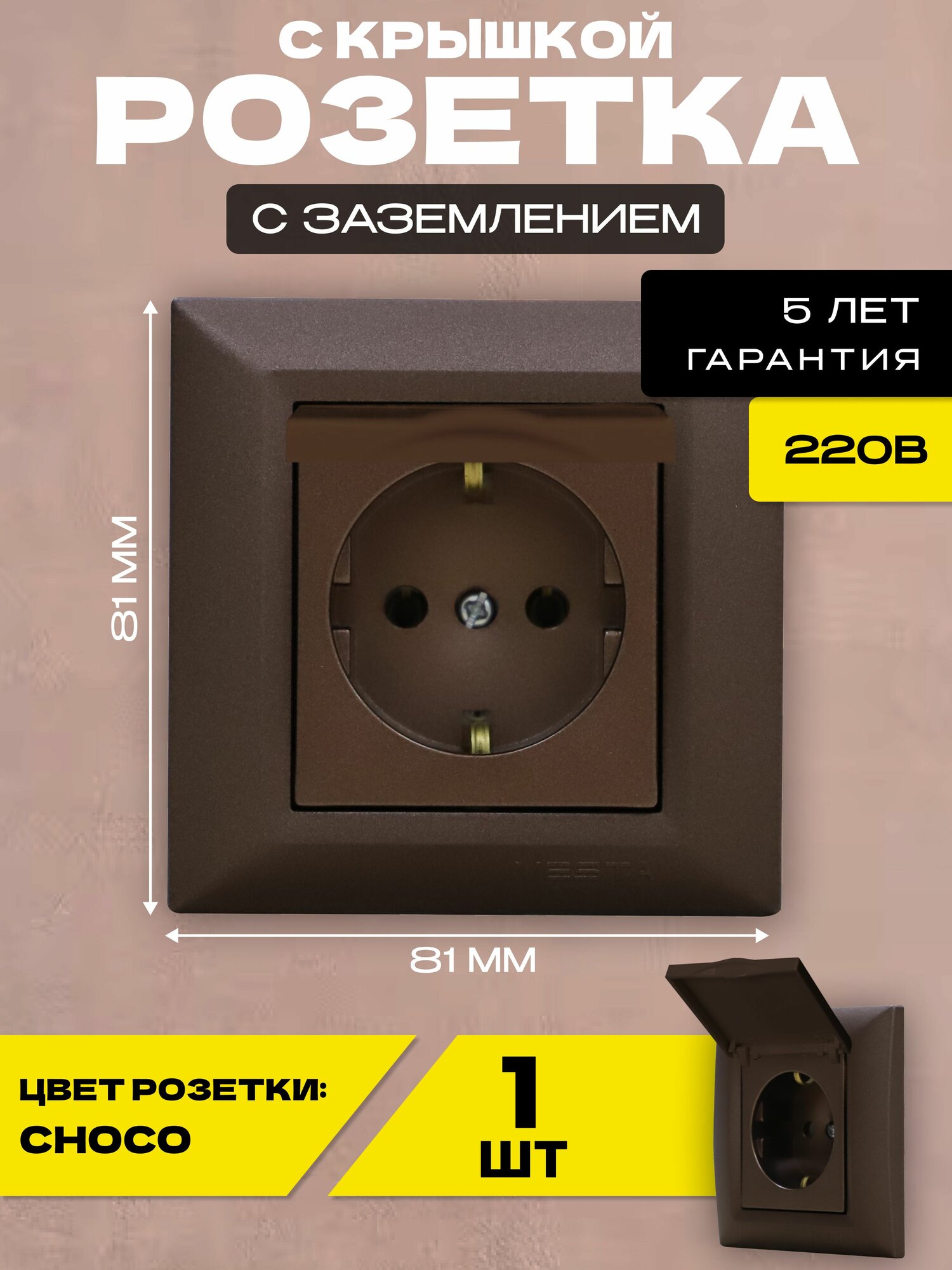 Розетка одинарная с заземлением с крышкой коричневая с рамкой Metronex-Electric Roma Choco