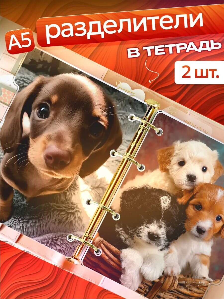 Разделители для тетради на кольцах Животные