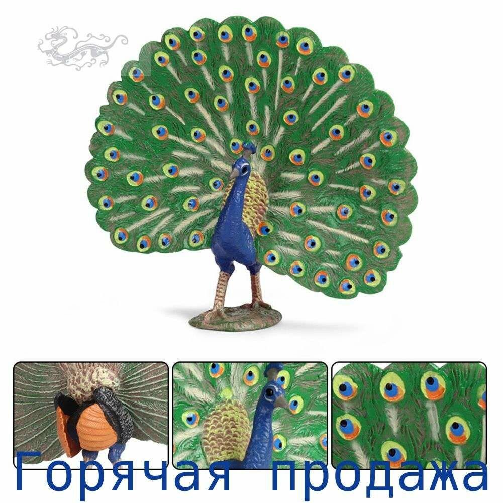 Модель павлина — фото 1