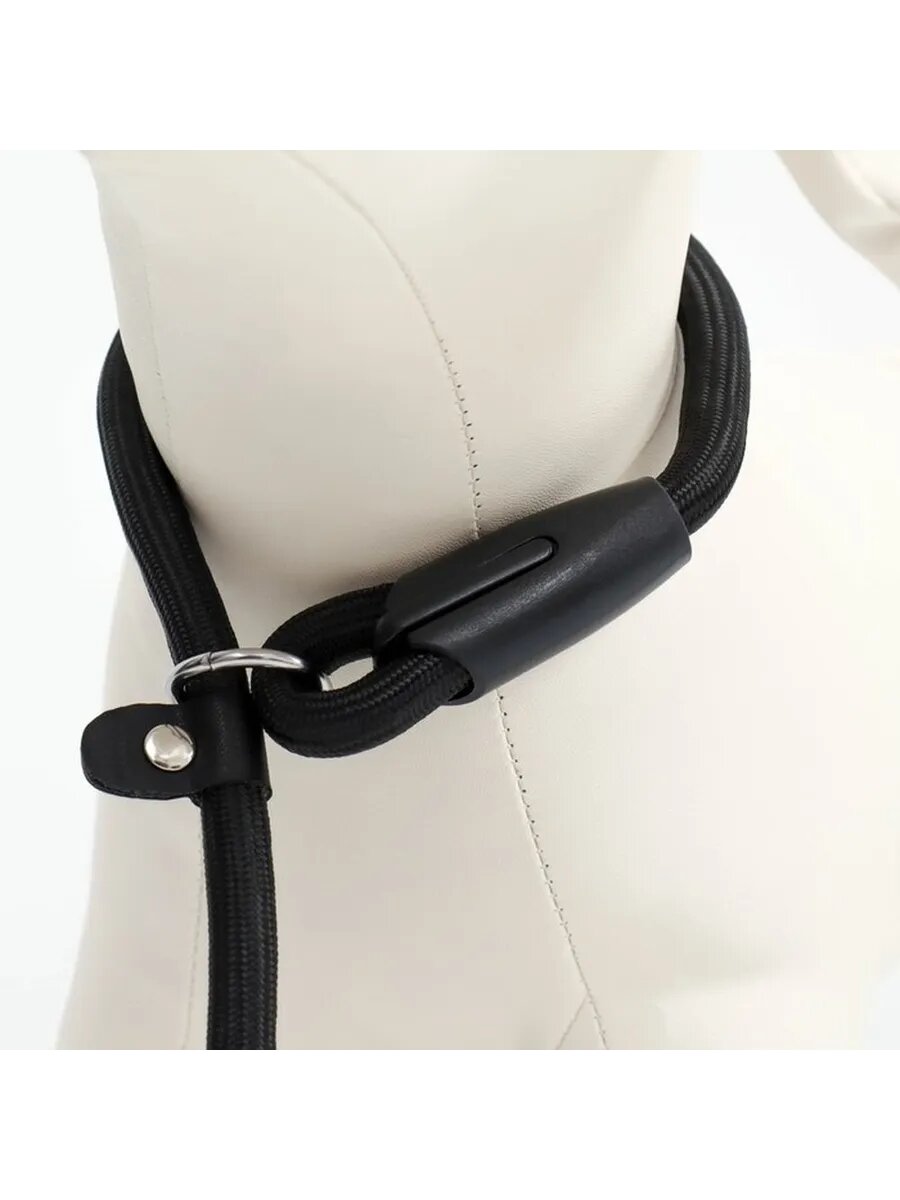 Стильная универсальная ринговка для собак