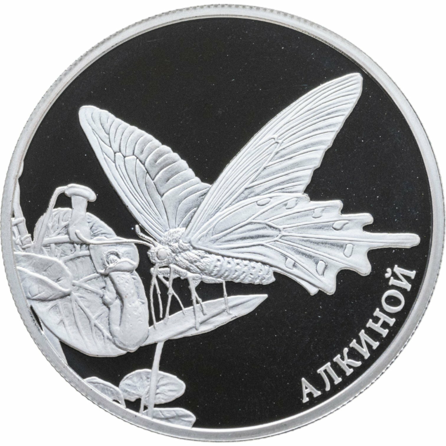 2 рубля 2016 ММД Proof "Красная Книга - Алкиной", Серебро 925