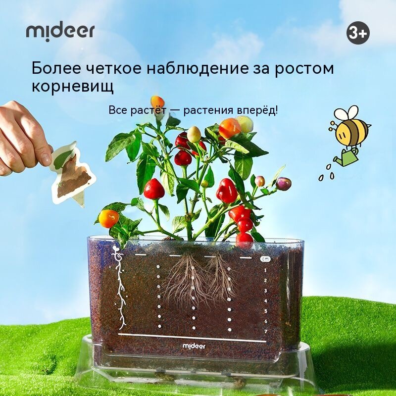 Набор для выращивания, Детская площадка для наблюдения за посадками, Группа 3: Ускоренный рост растений