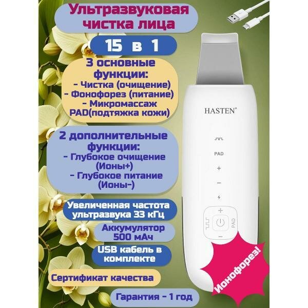 Ультразвуковая чистка HASTEN HAS1300