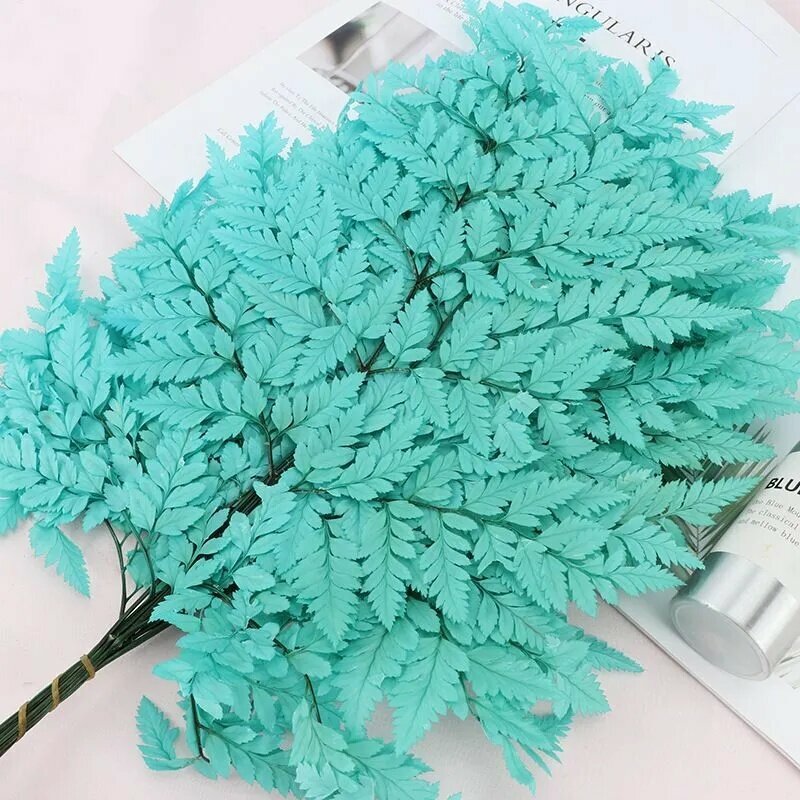 Сухоцветы Папоротник, 40 см, 30 гр, 10 шт