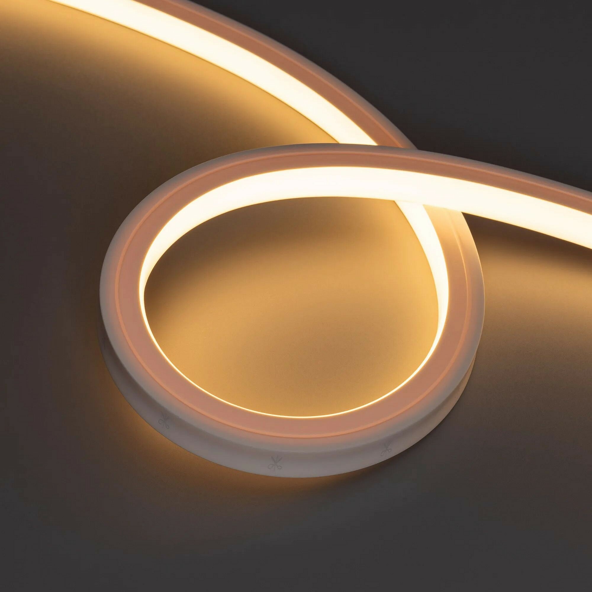 Шнур световой Arlight NOVA-TOP-PU-A120-16x15mm 050611 [3 м.]