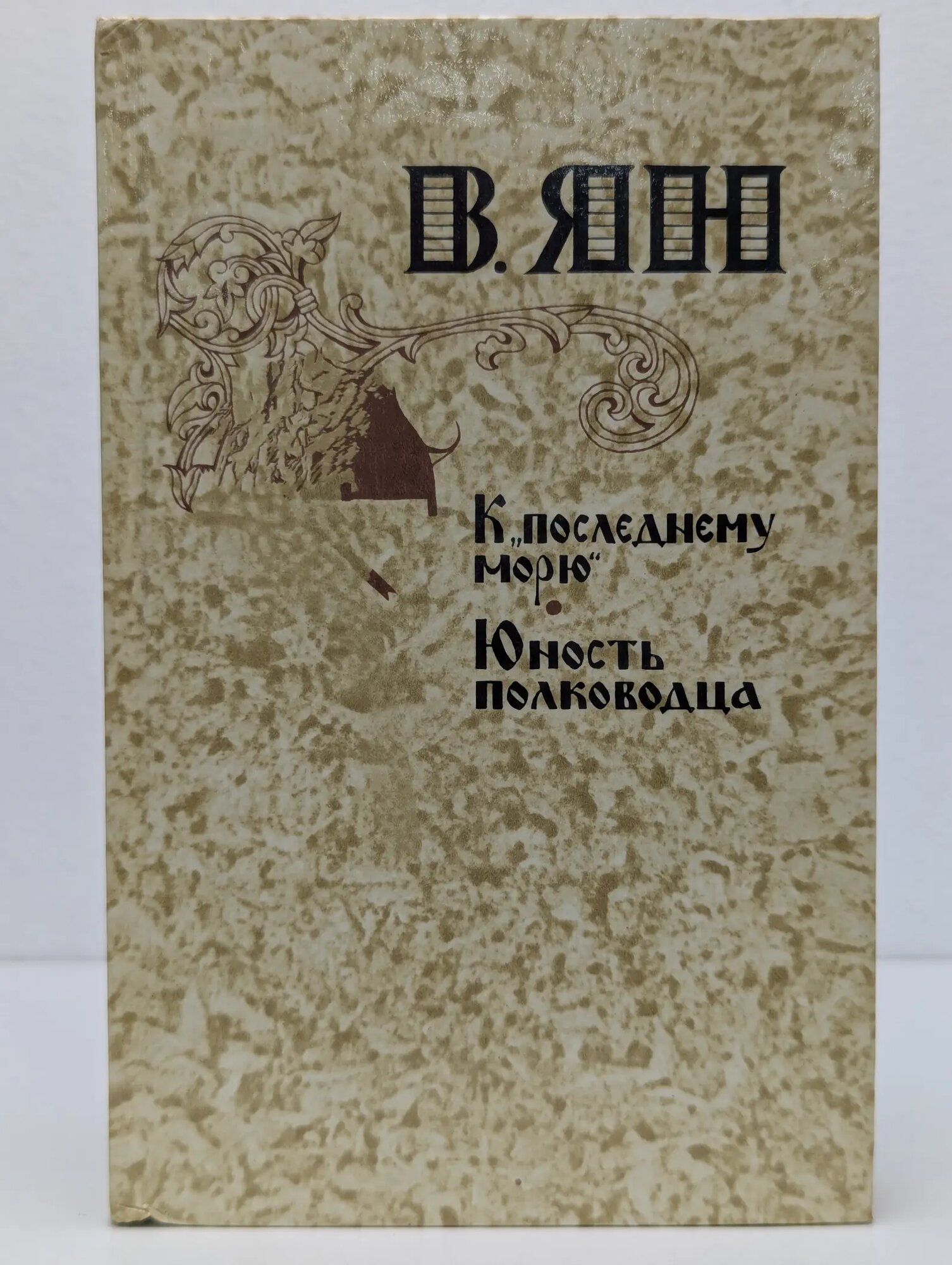 К "последнему морю". Юность полководца Василий Ян Григорьевич 1981