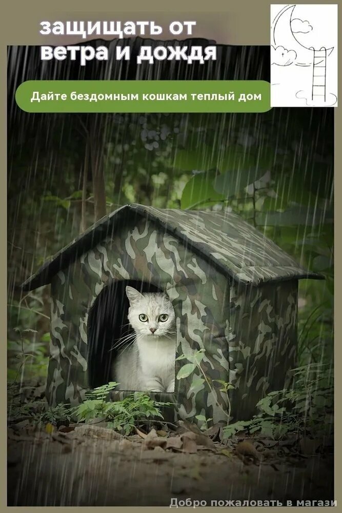 Зимний приют для бездомных кошек, уличный приют для щенков