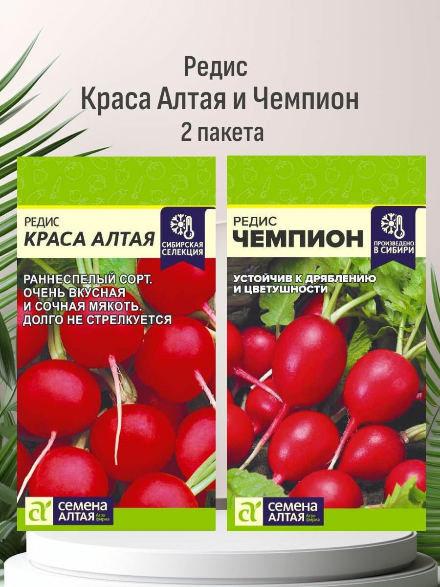 Редис Краса Алтая и Редис Чемпион 2 пакета