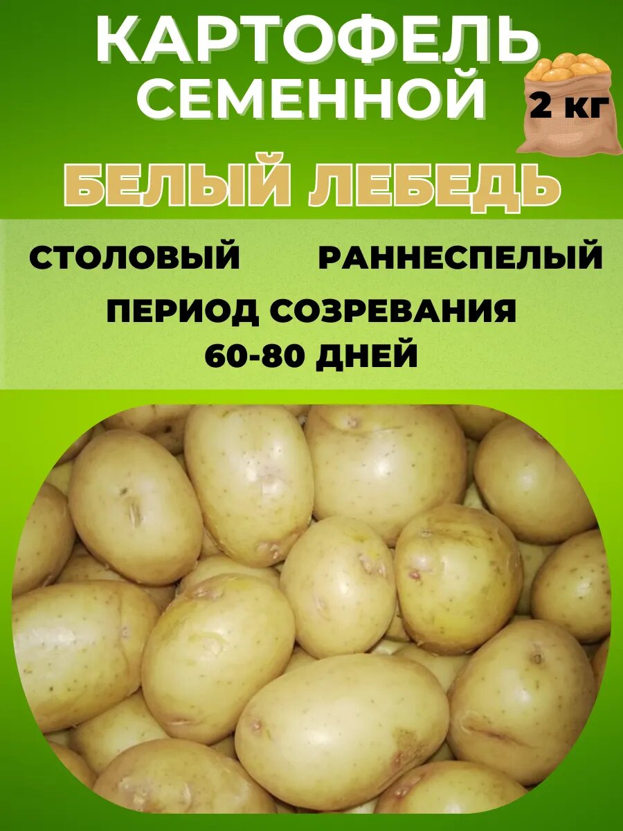 Картофель семенной на посадку, 2 кг