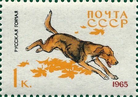 1965-009 Марка СССР Русская гончая Служебные и охотничьи собаки III O