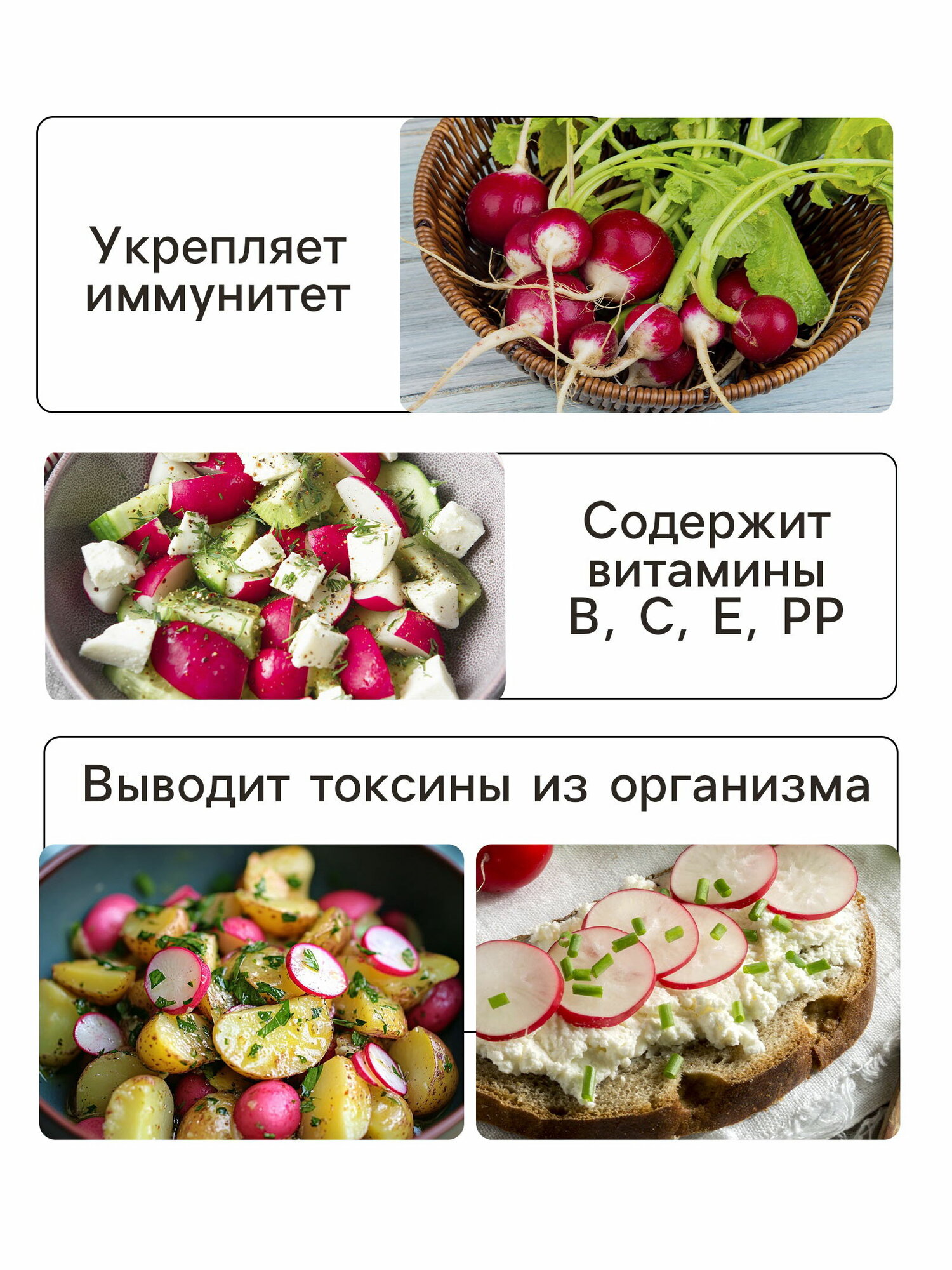 Семена Редис "Французский завтрак", 3 г, посев (посадка) в грунт: август, 5 шт.