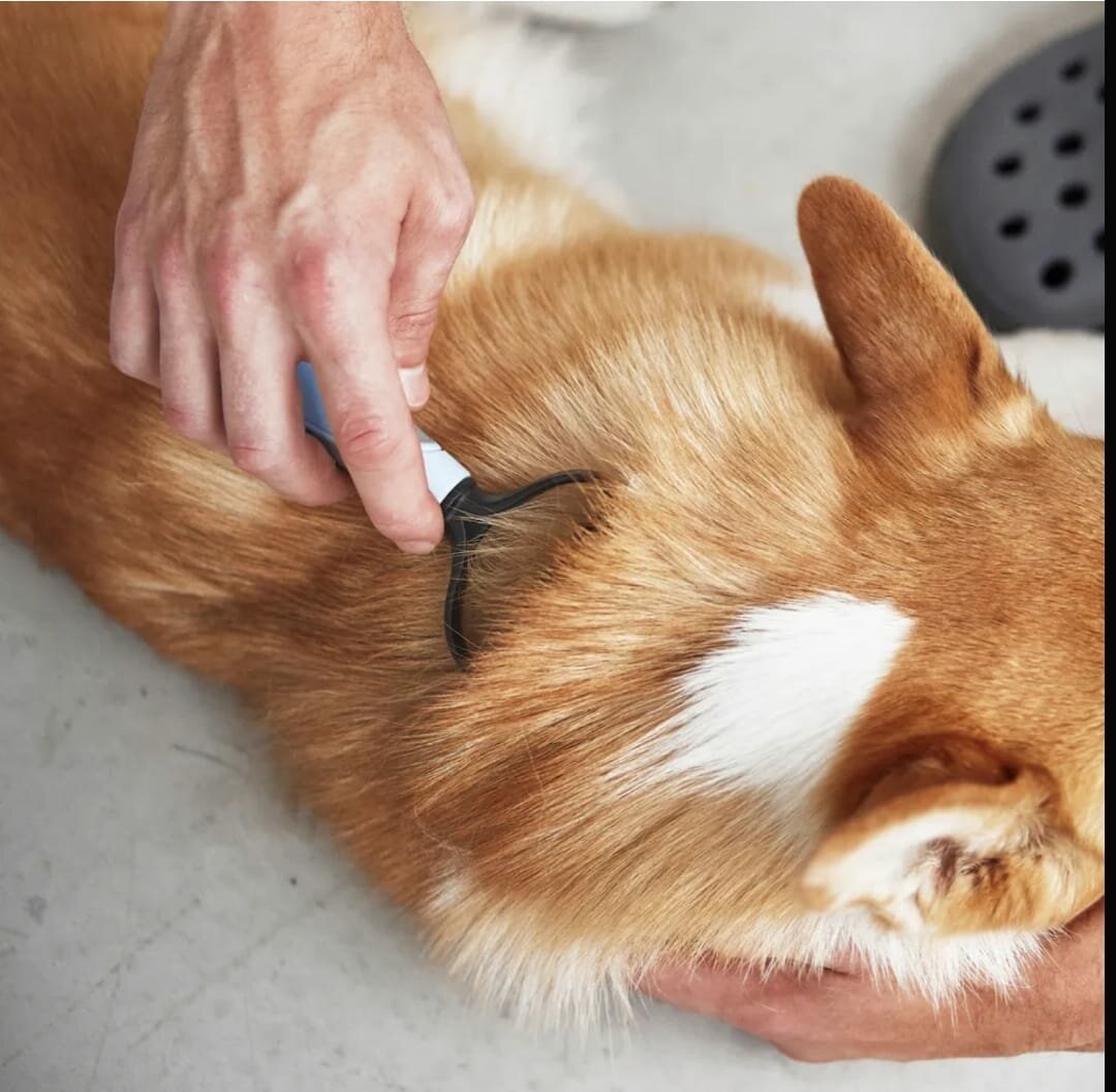 Расческа-дешеддер, для кошек и собак, ABS/металл/каучук, двусторонняя, 11 зубьев