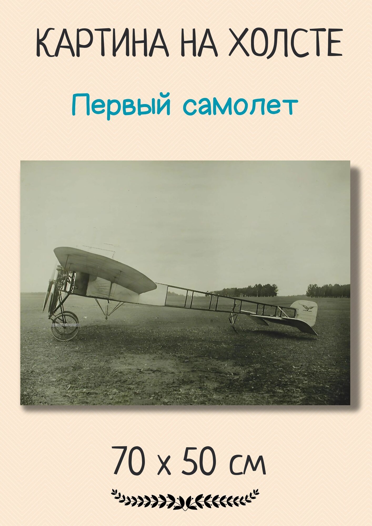 Фотокартина в черно белом стиле ретро "Общий вид моноплана сбоку" 50х70 см