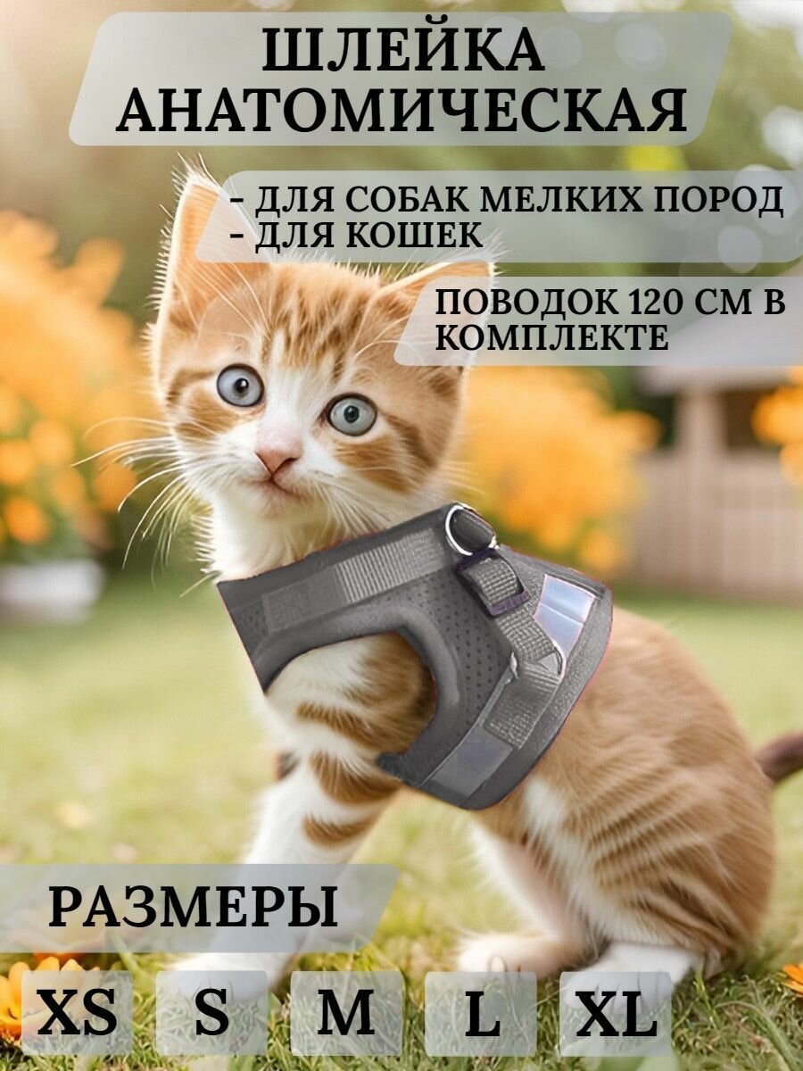 Шлейка для собак мелких пород и кошек с поводком Mirestra1