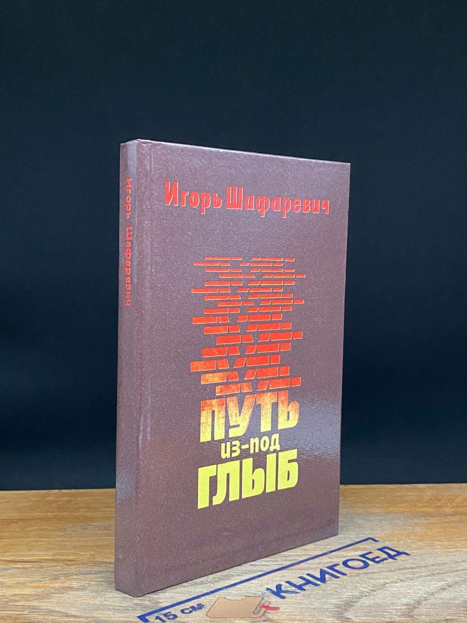 Книга. Путь из-под глыб 1991 (2044142092033)