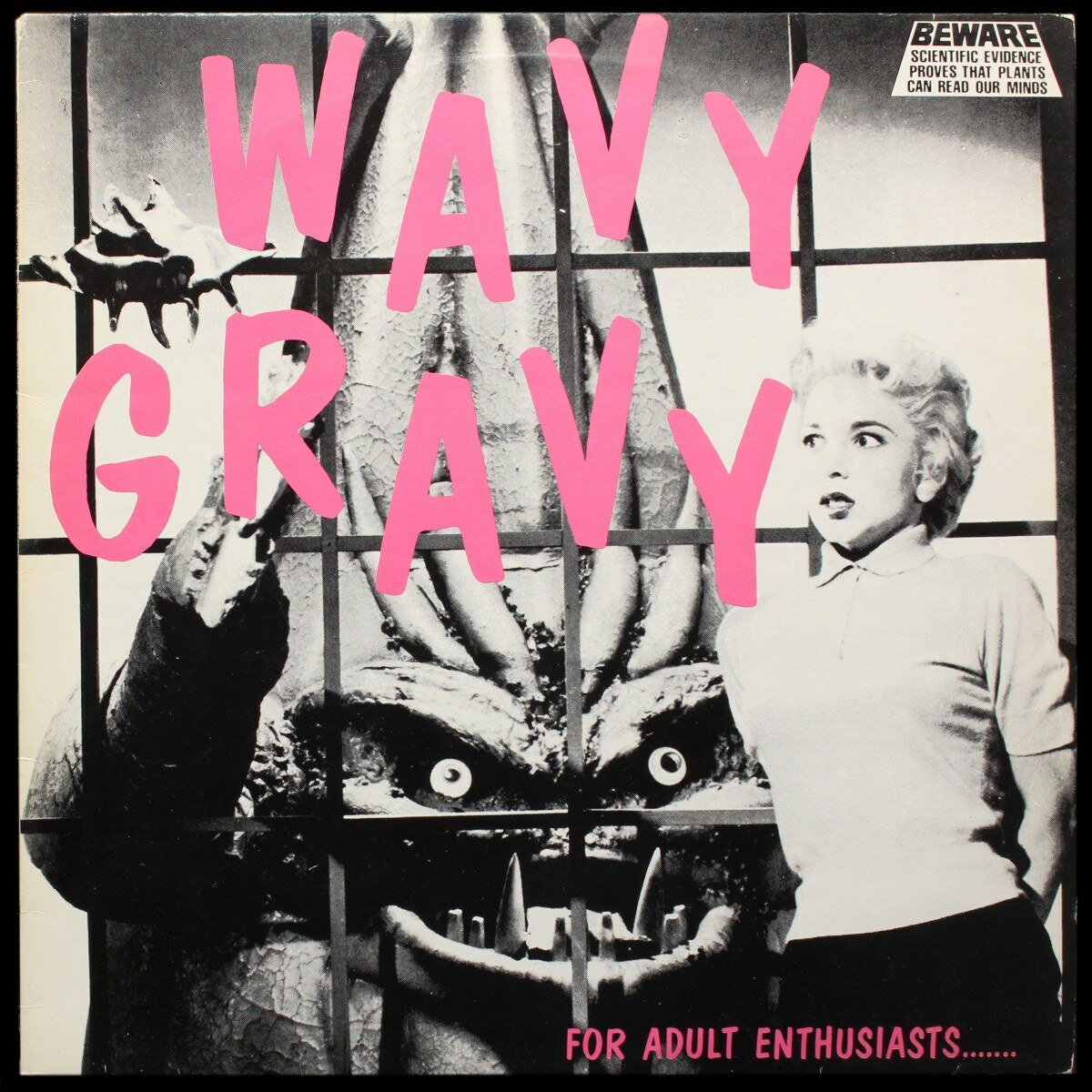 Виниловая пластинка Beware V/A – Wavy Gravy - For Adult Enthusiasts....... (mono)