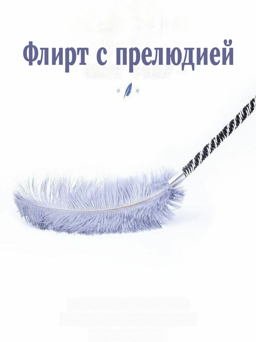 2025Кисточка