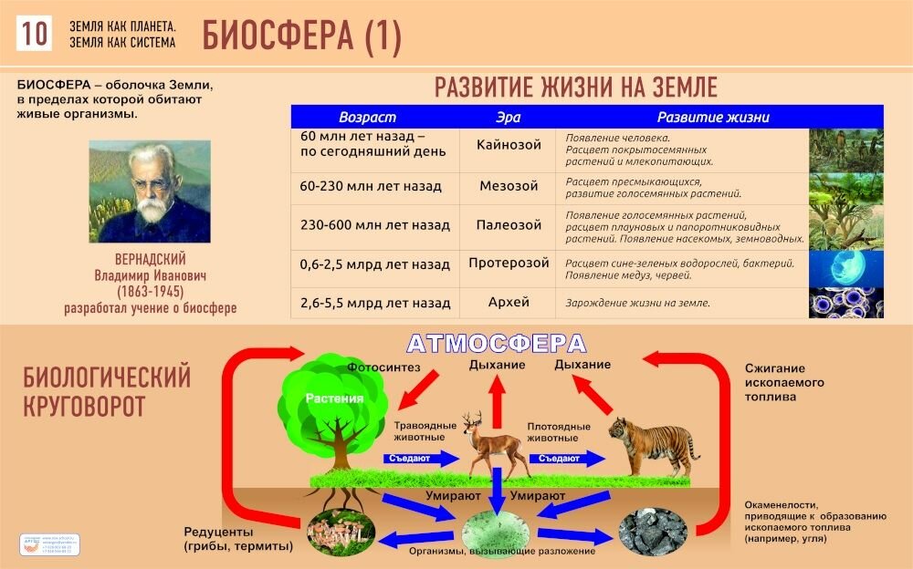 Комплект таблиц Экология Земля как планета. Земля как система