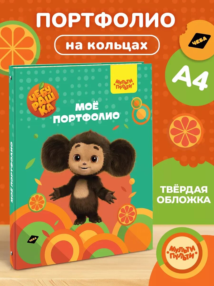 Папка-портфолио школьника для мальчика и девочки А4