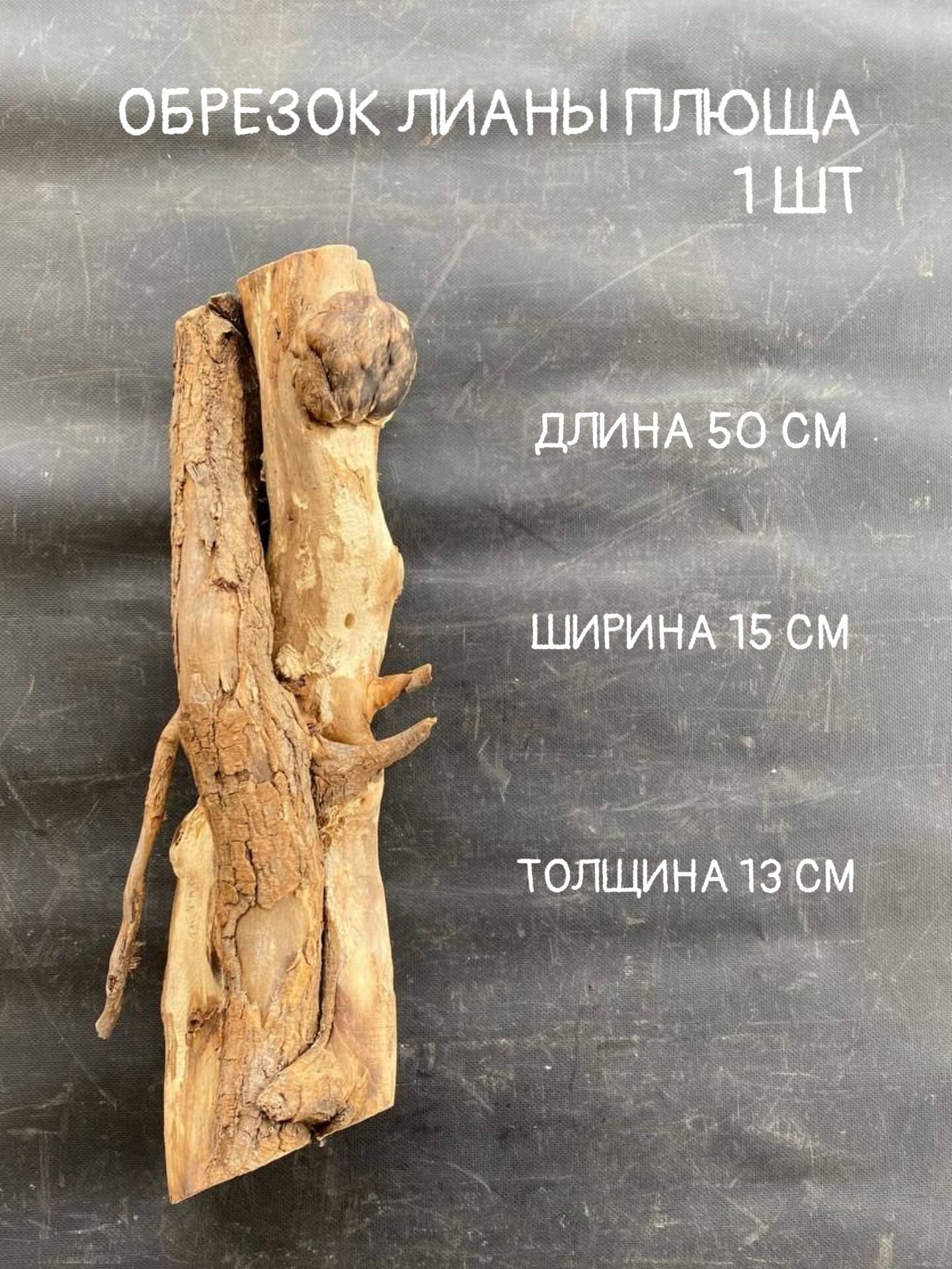 Обрезок лианы Плюща 500х150х130мм 1шт