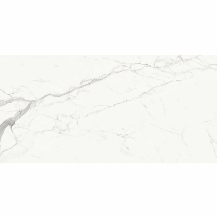 Керамогранит Delacora Porfido Carrara белый матовый 60x120 см для пола и стен