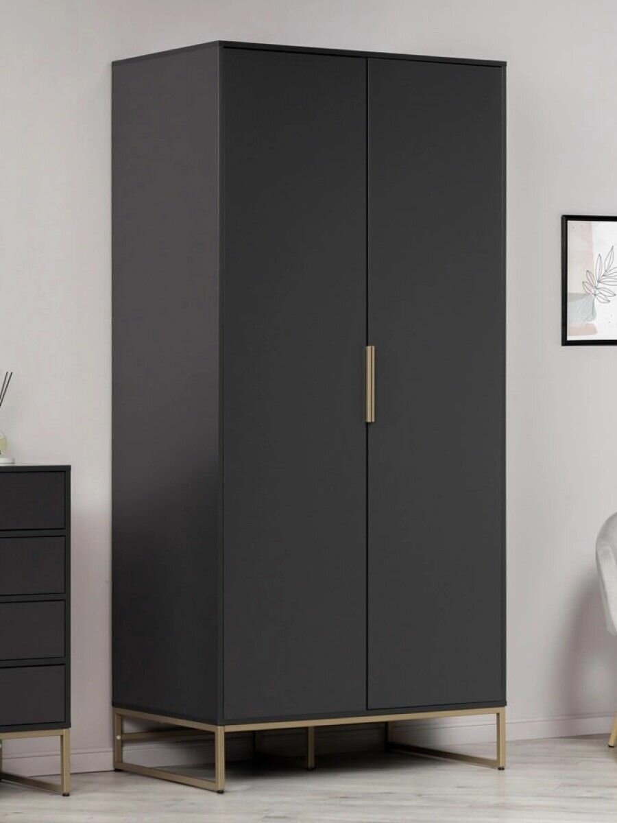 Шкаф Askona (Аскона) двухдверный Amur (Амур) Черный Графит 100х213х63