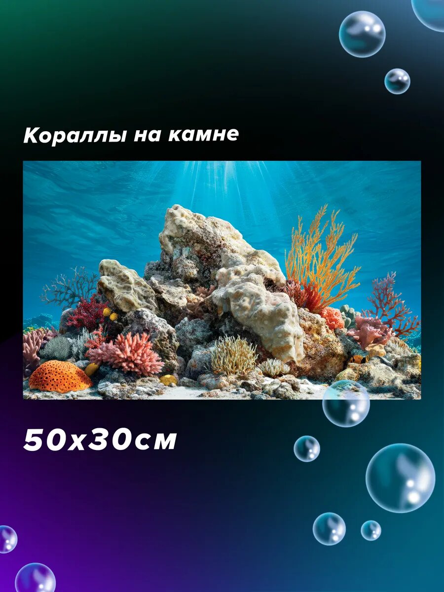 Фон для аквариума "Кораллы", влагозащитный и износостойкий, 30 x 50см. Эффект 3D . — фото 1
