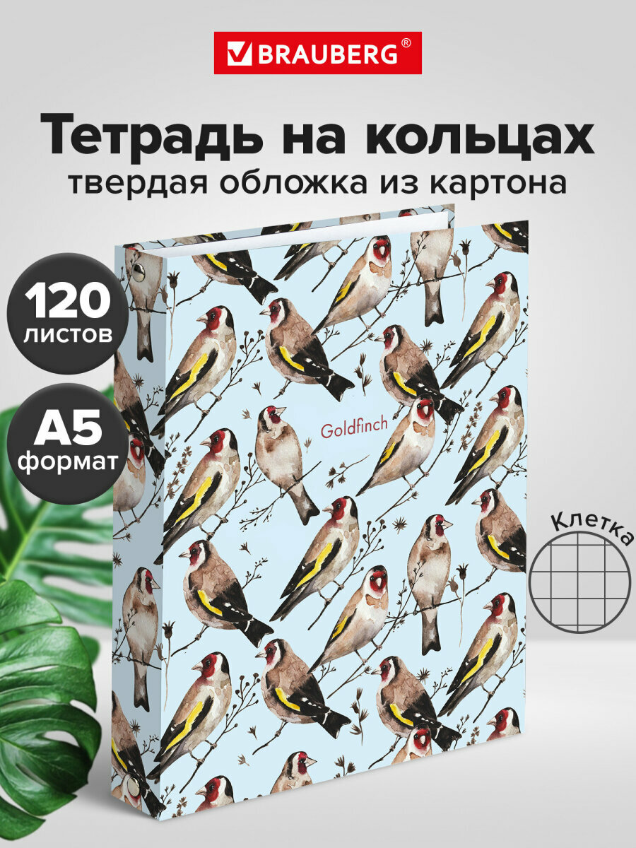Тетрадь на кольцах А5 (175х215 мм), 120 листов, твердый картон, клетка, Brauberg, Щеглы, 404079