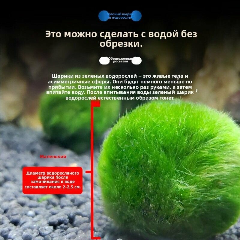 3 шт. Набор для аквариума: живые водные растения в экобутылках, шарики Chlorophyta Bullulae, декор для ландшафтного дизайна (опт)