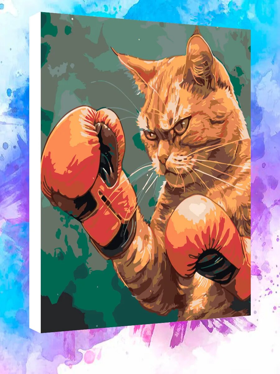 Картина по номерам Кот Бокс Боксёр Спорт Мем