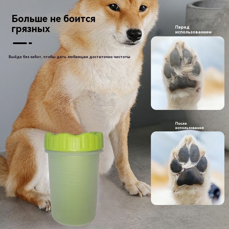 Домашние животные моют чашки для ног