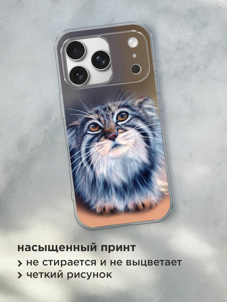 Чехол на Apple iPhone 17 Pro Max / Айфон 17 Про Макс с принтом "Кот манул 2" — фото 1