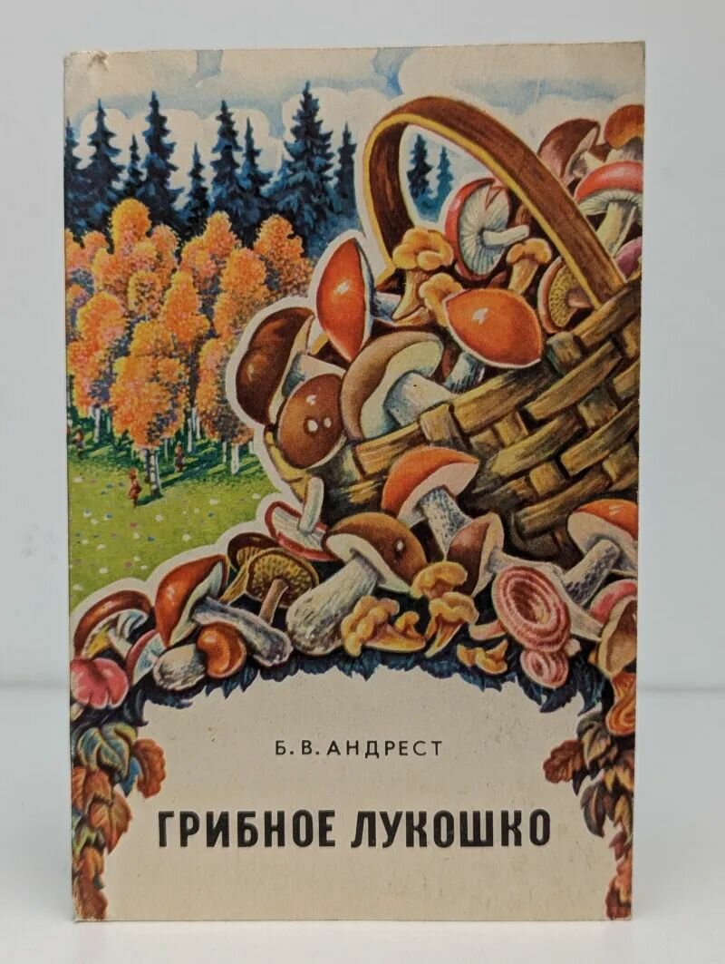 Грибное лукошко