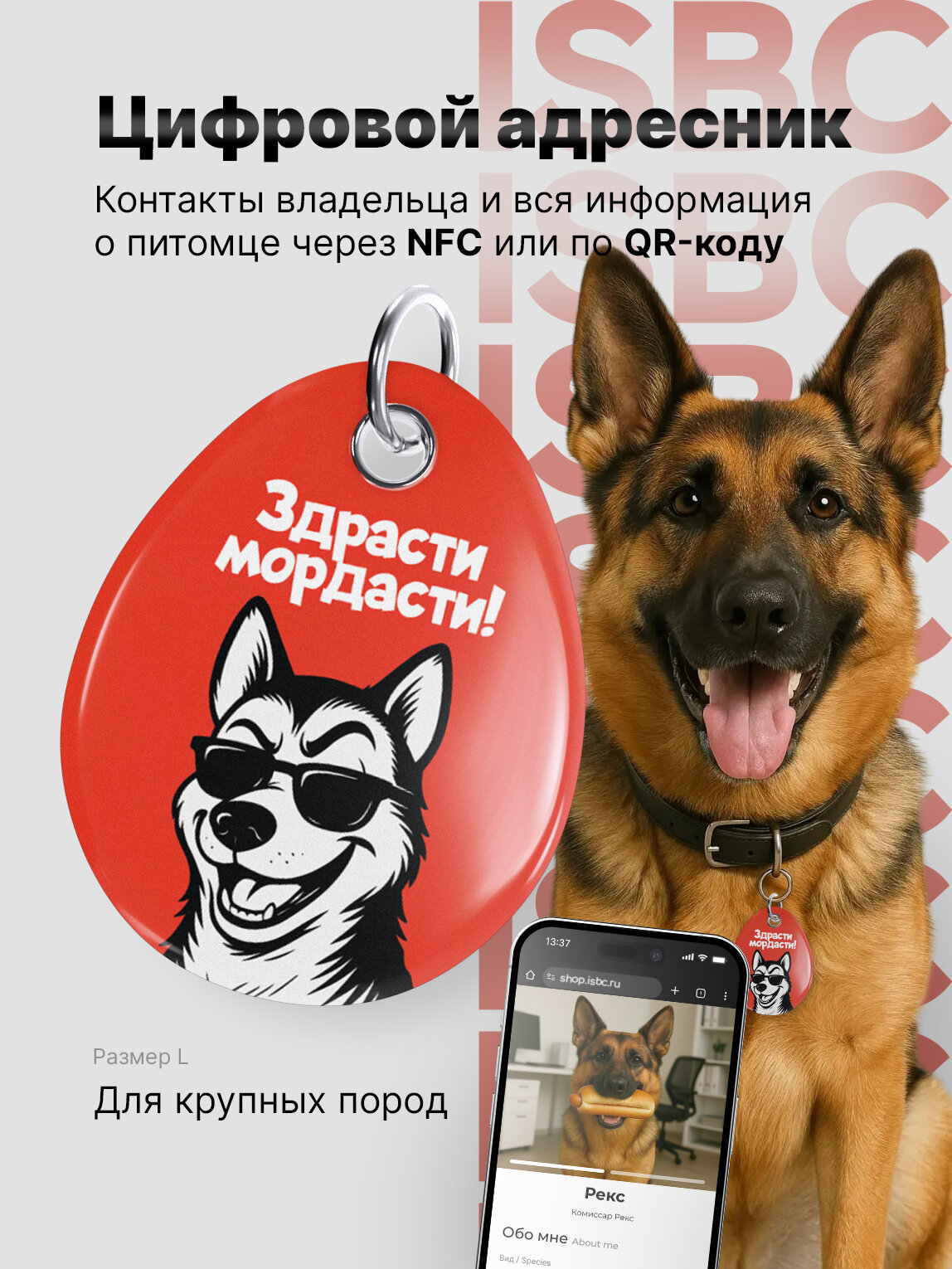 Адресник для собак средних и крупных пород от ISBC с NFC и QR-кодом, Здрасти мордасти