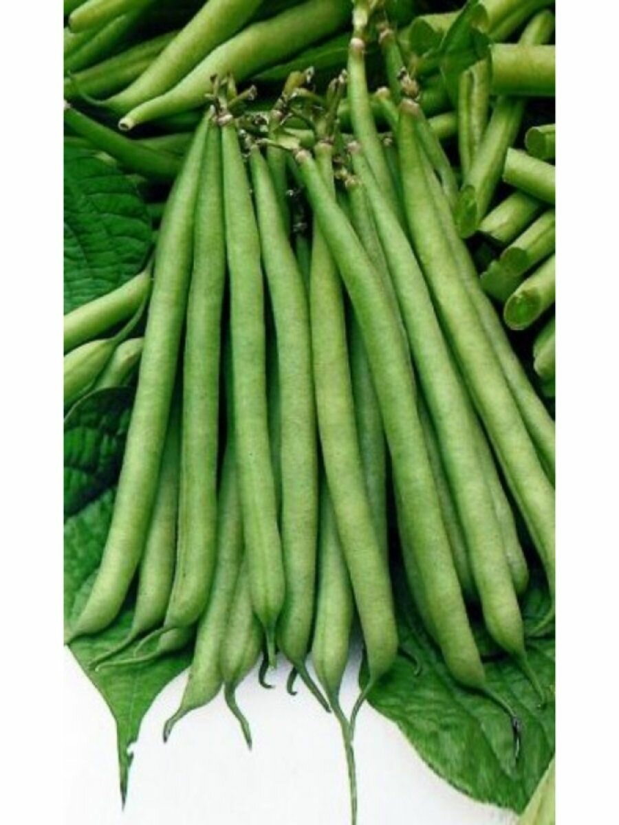 Фасоль Весеннее чудо сахарная ц/п Уральский дачник, Семена Марс