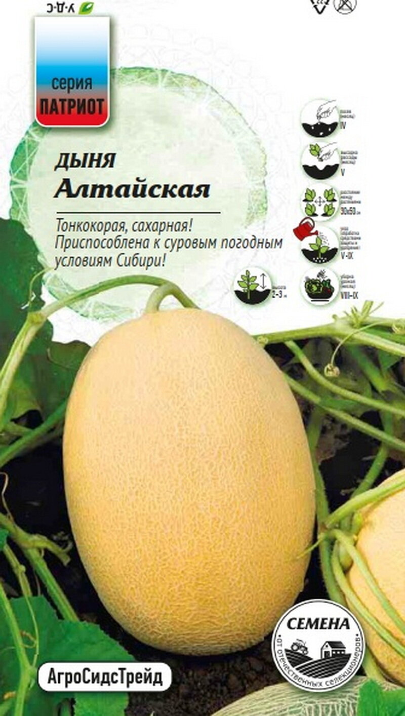 Семена овощей Агросидстрейд Патриот дыня Алтайская, для дачи, сада, огорода и на рассаду