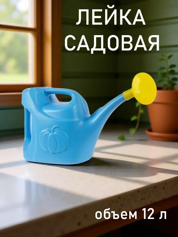 Лейка 12 литров с рассеивателем
