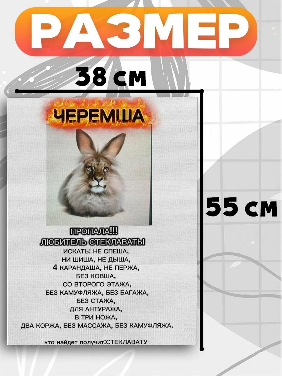 Картина на стену Черемша мем, на подрамнике, 1шт, 55х38 размер. — фото 1
