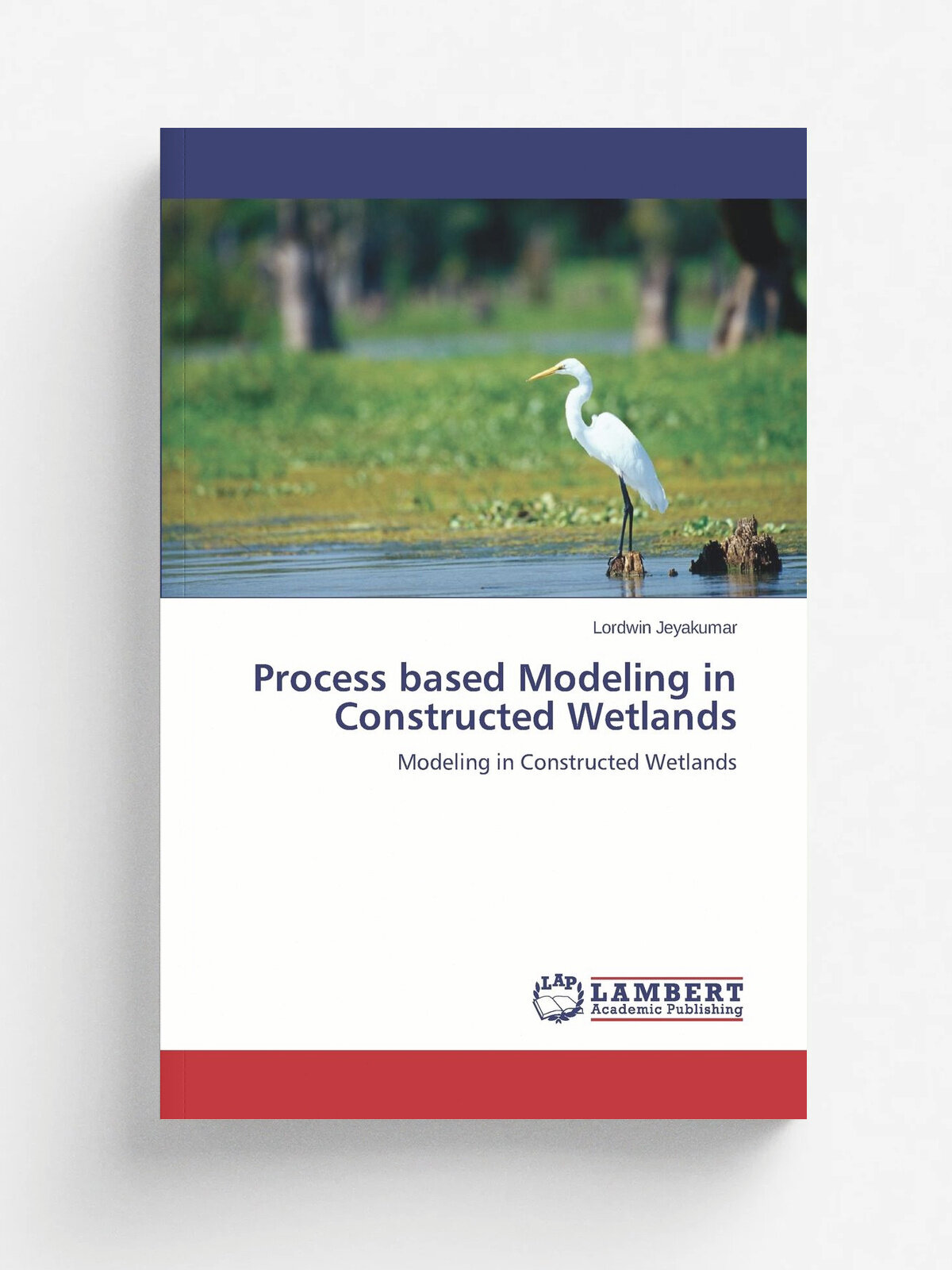 Process Based Modeling in Constructed Wetlands
