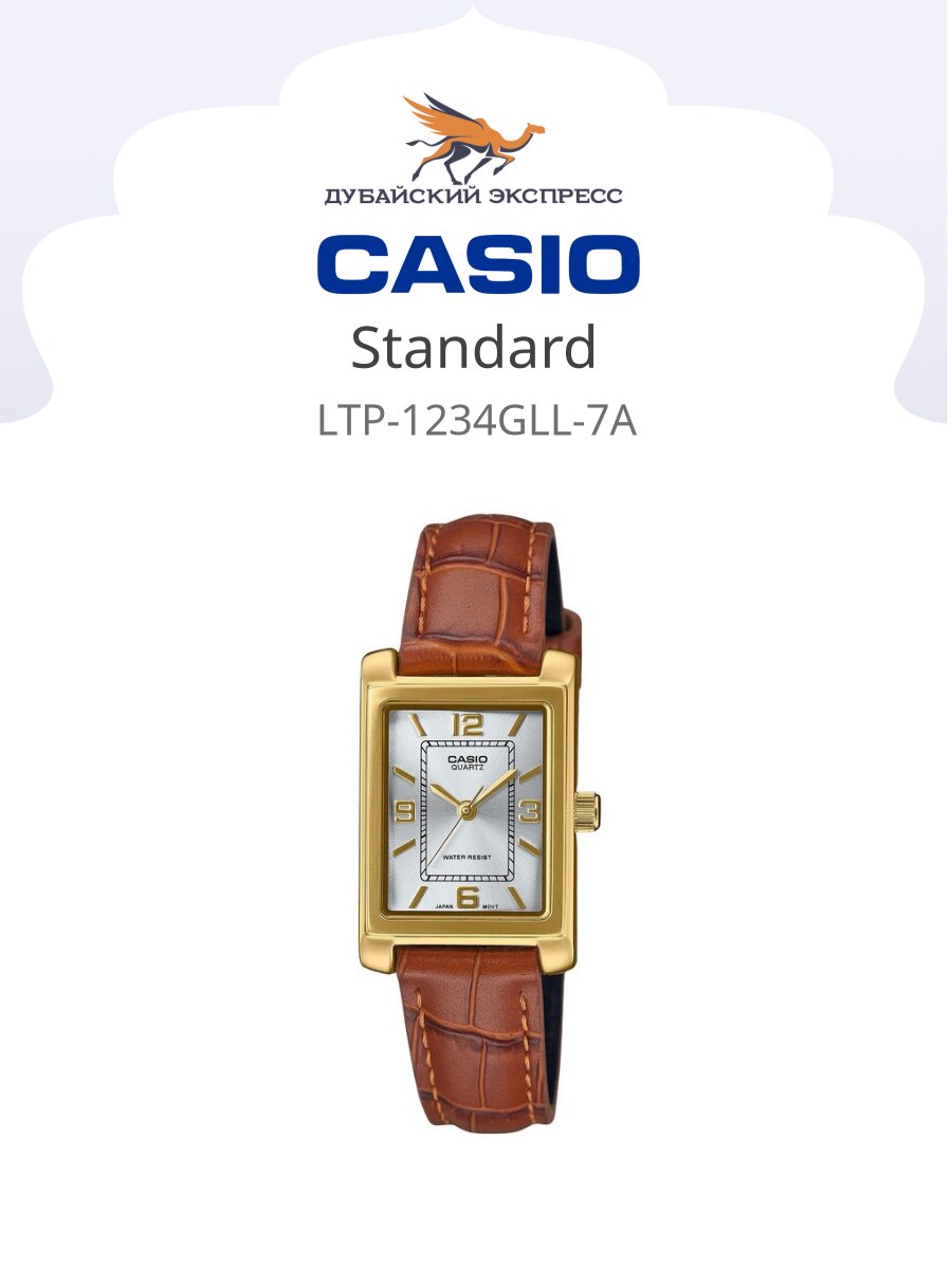  CASIO