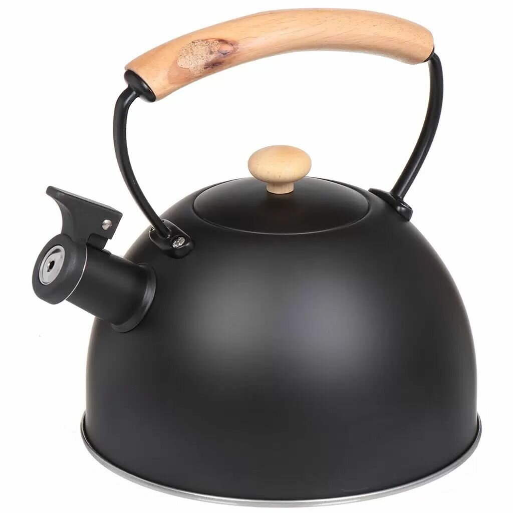Чайник DANIKS из нержавеющей стали, 2,5 л, со свистком, матовый, с металлической и деревянной ручкой, черный