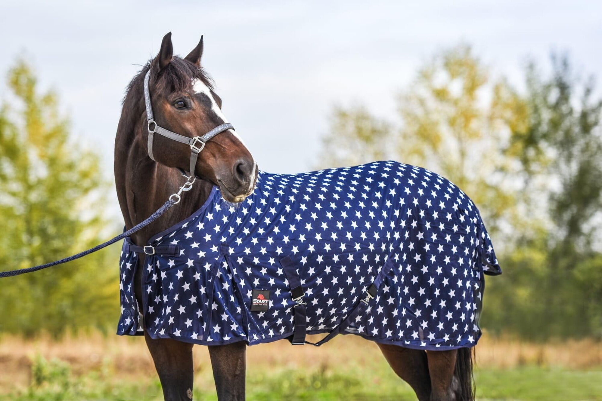 Decathlon Сетчатая попона против насекомых START Stars с узором "звёзды", размер:135 см, темно-синий/белый