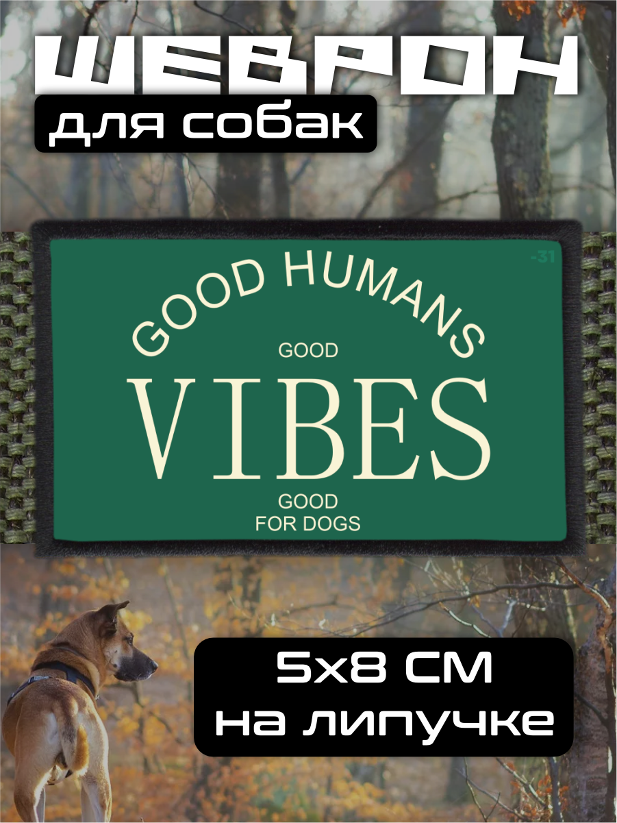 Шеврон на липучке для собак Надпись