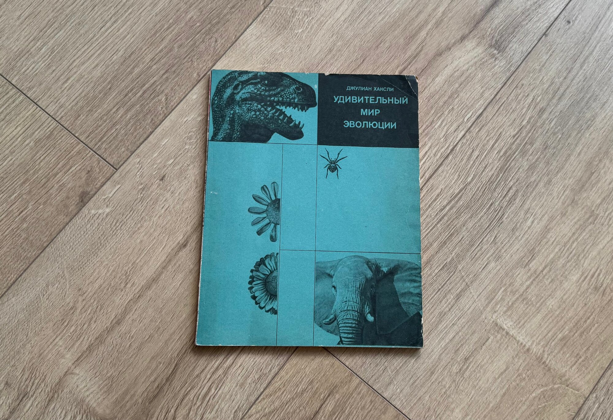 Удивительный мир эволюции (перевод с английского), 1971 г