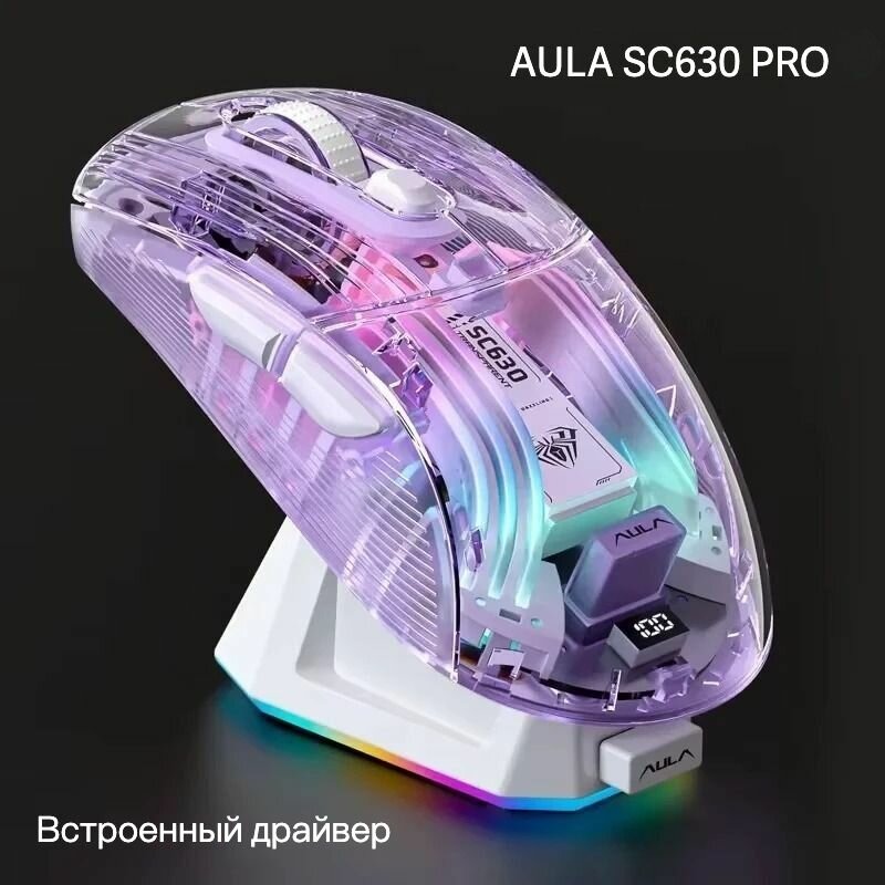 Мышь