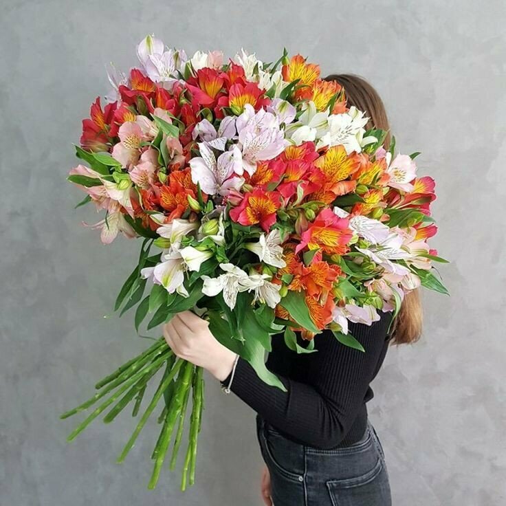 Живые цветы, букет цветов, альстромерия, 51 цветок, длина 60см, разноцветные