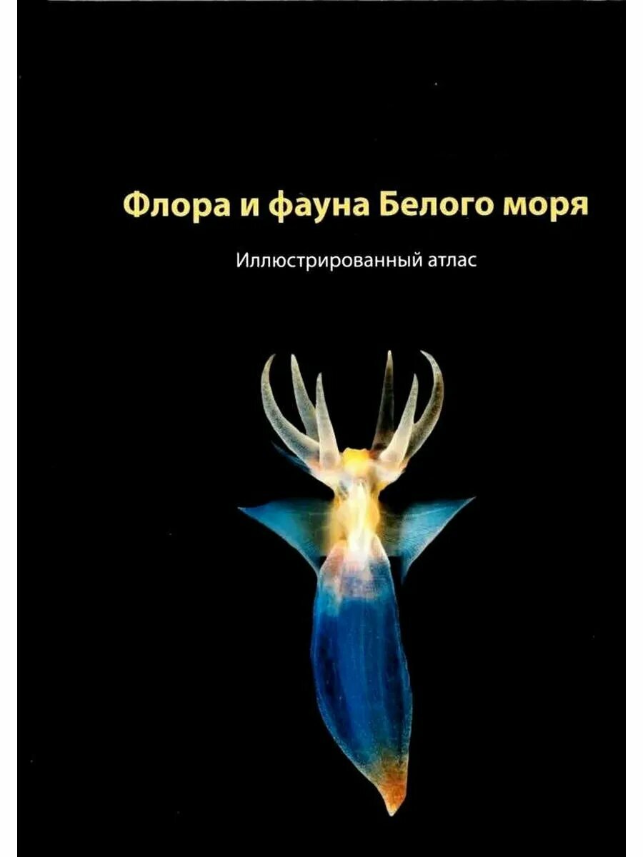 Флора и фауна Белого моря. Иллюстрированный атлас